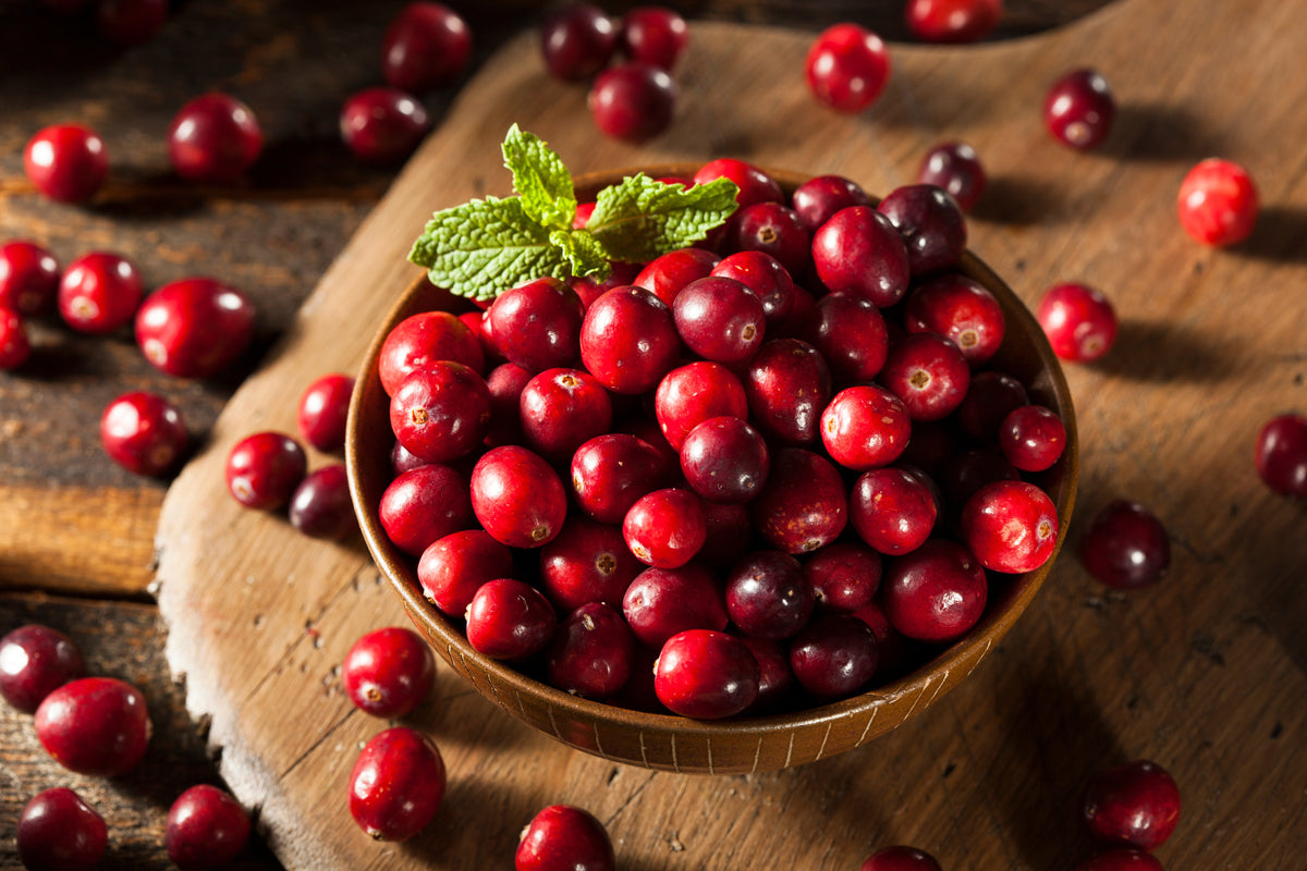 Cranberries for Dogs | A Small Berry with Big Health Benefits ...